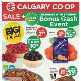 Canadian Weekly Flyers | Flyers Online