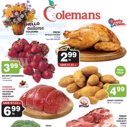 Canadian Weekly Flyers | Flyers Online