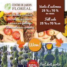 Canadian Weekly Flyers | Flyers Online