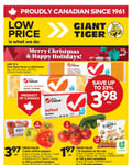 Giant Tiger Ontario Weekly Flyers | Flyers Online