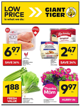 Giant Tiger Ontario Weekly Flyers | Flyers Online