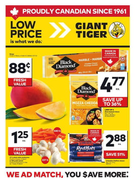 Giant Tiger Ontario Upcoming Flyer - Flyers Online