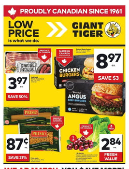 Giant Tiger Ontario Upcoming Flyer - Flyers Online