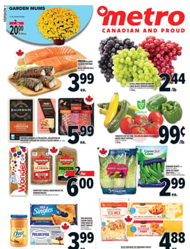Metro Upcoming Flyer - Flyers Online