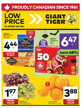 Giant Tiger Ontario Upcoming Flyer - Flyers Online