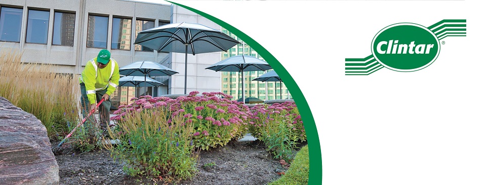 Clintar - Flyers Online