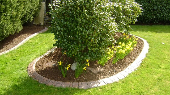 Pro-Grade Landscaping - Flyers Online