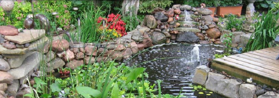 Dig & Design Landscaping - Flyers Online