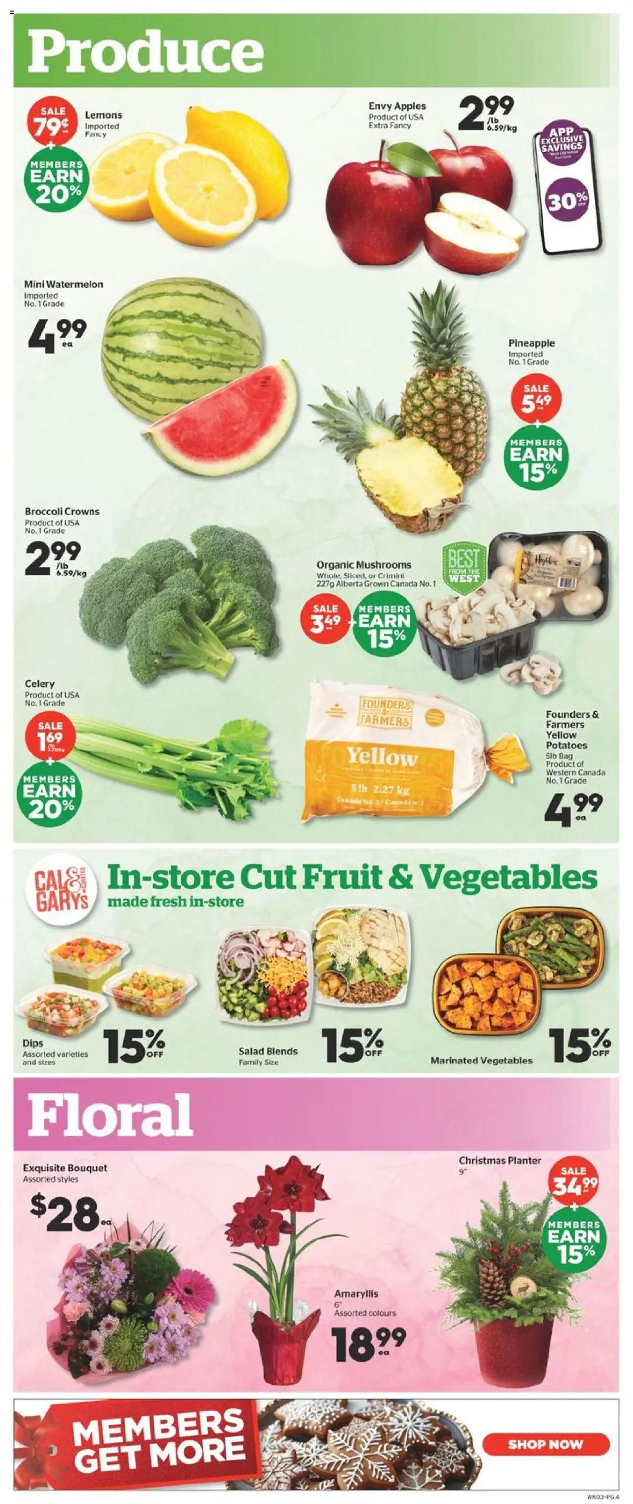 Calgary Co-op - Weekly Flyer Specials from Nov 21st to Nov 27th 2024 ...
