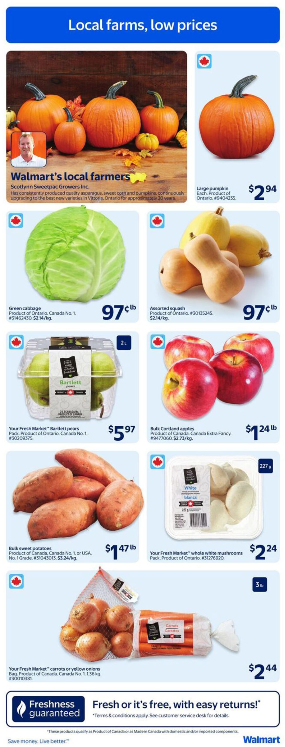Walmart Canada Ontario Weekly Flyers | Flyers Online