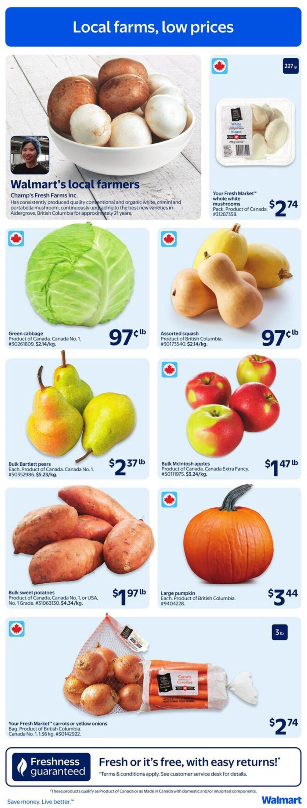 Walmart Canada Western Canada Weekly Flyers | Flyers Online