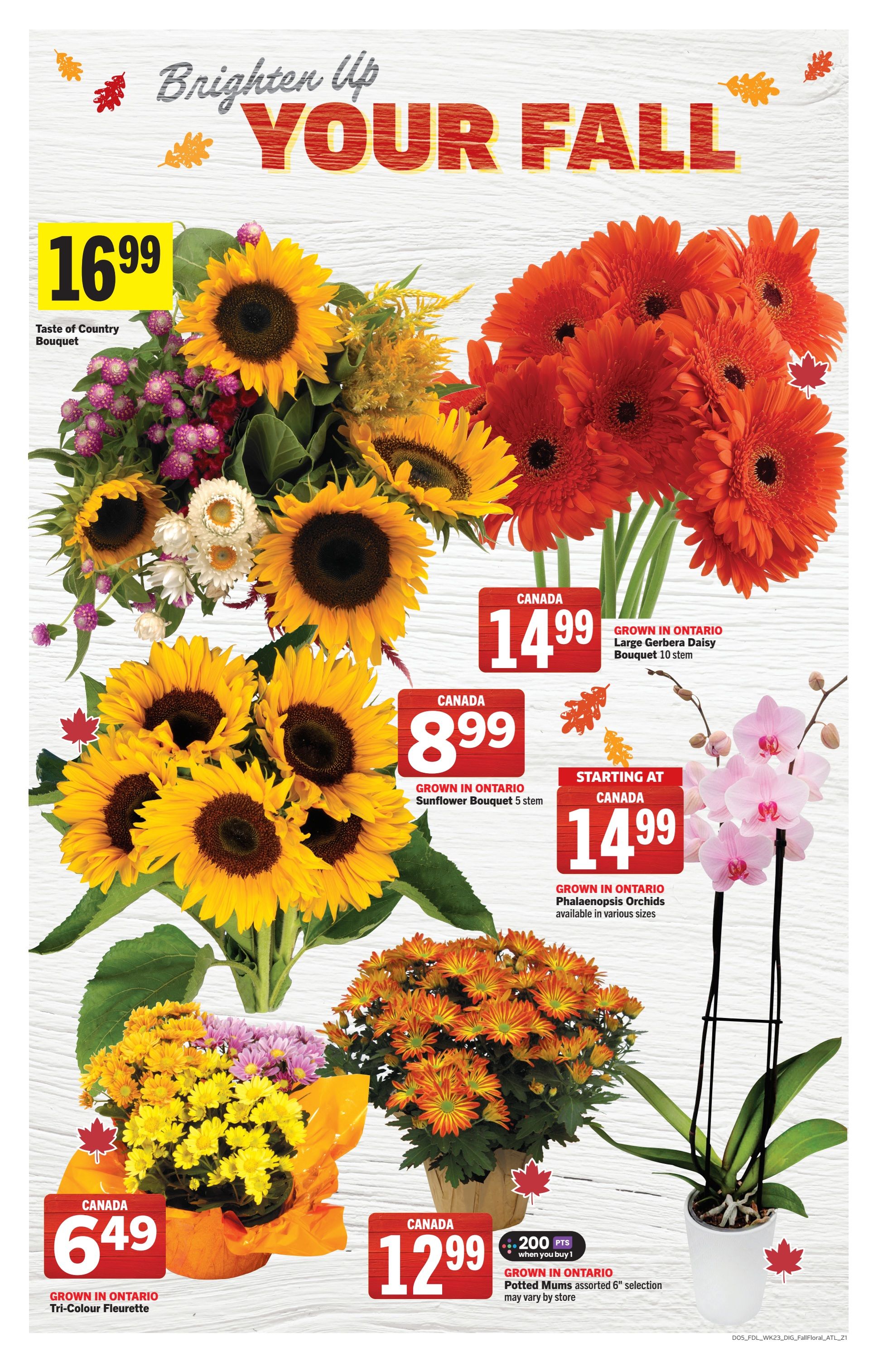 Foodland Newfoundland Weekly Flyers | Flyers Online