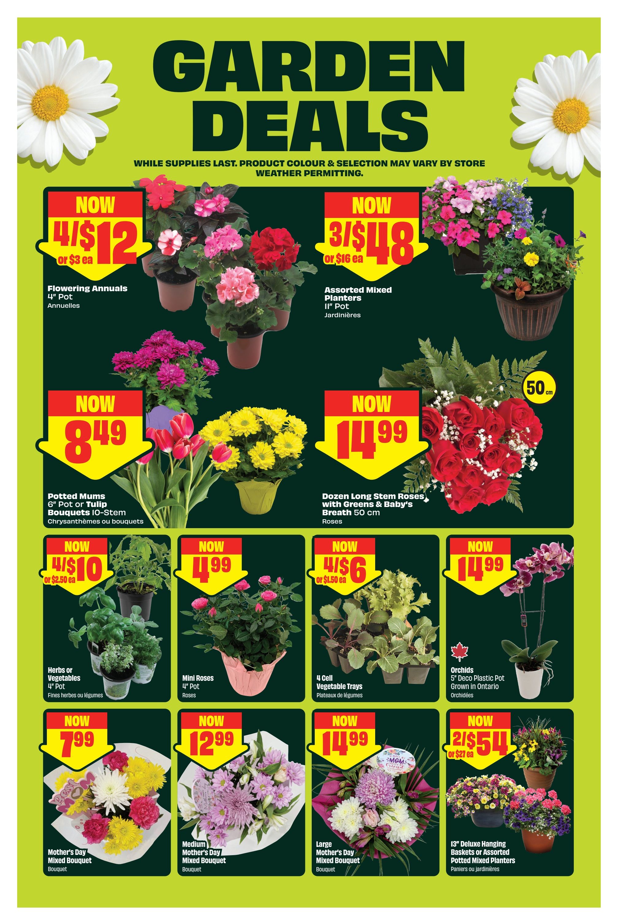 FreshCo Ontario Weekly Flyers - May 7th to May 13th 2026