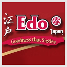 Edo Interactive Logo